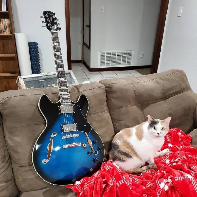 Firefly Guitars Website | High-Quality Electric Guitars for Everyone